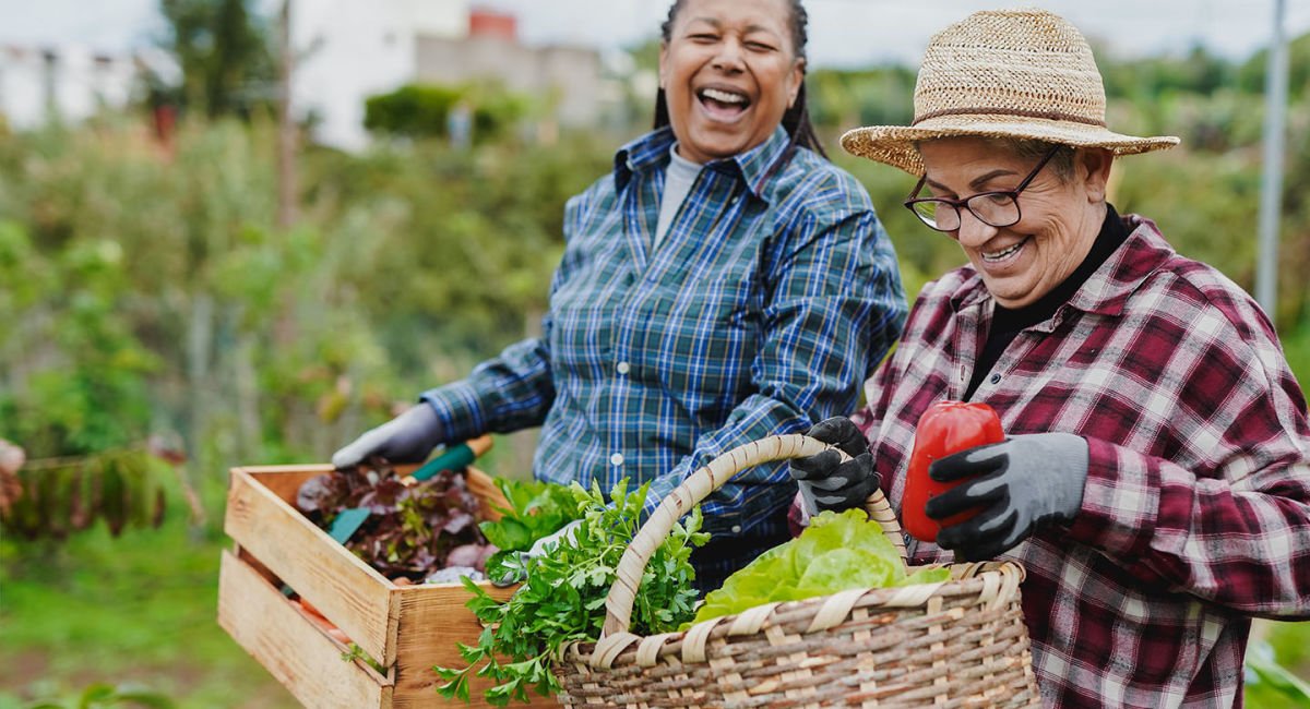 Growing older with purpose: How meaning shapes healthy ageing ...